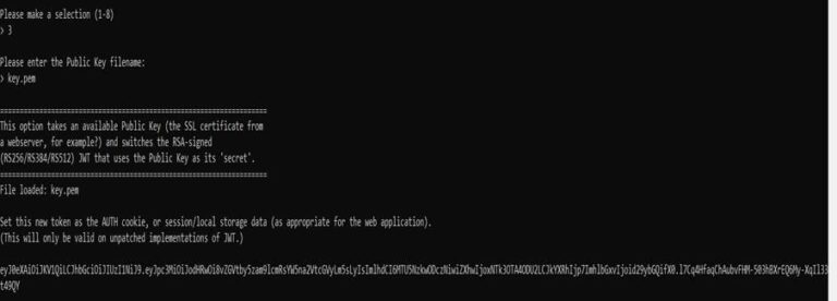 JSON Web Token (JWT) Security Testing: Detect and Prevent ...